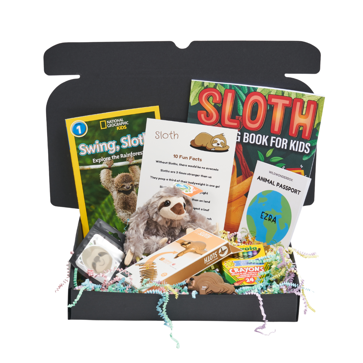 Sloth Box – Wild Wonder Box
