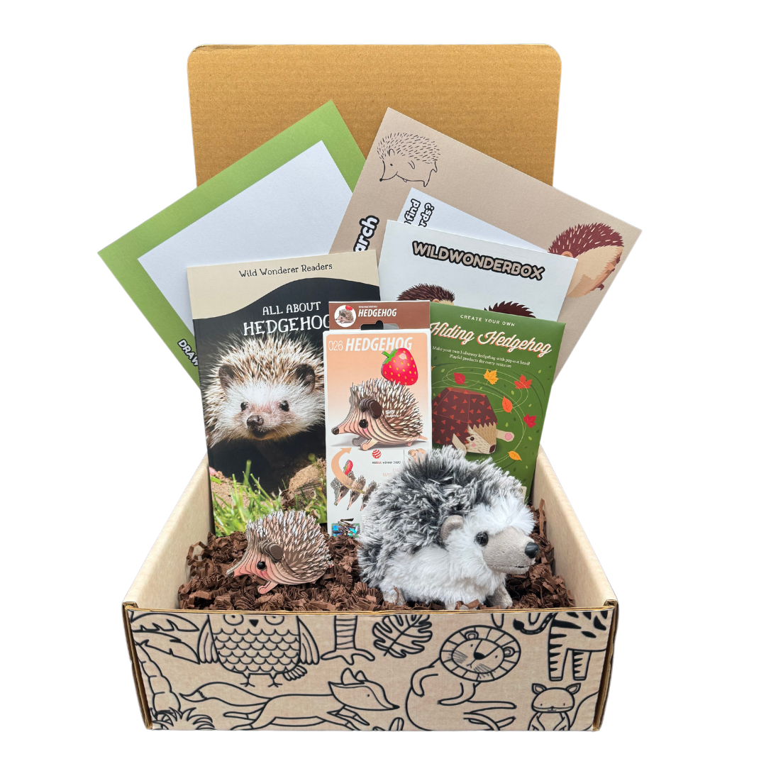 Hedgehog Box – Wild Wonder Box