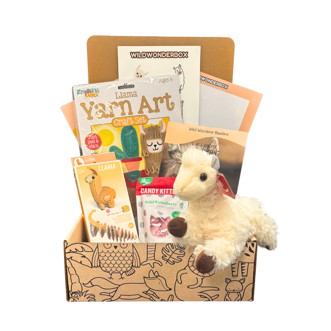 Llama Box – Wild Wonder Box