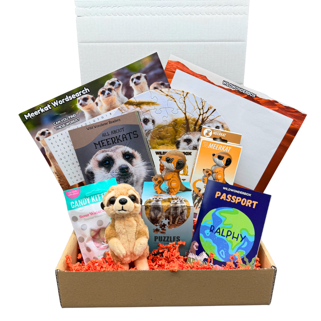Meerkat Box – Wild Wonder Box