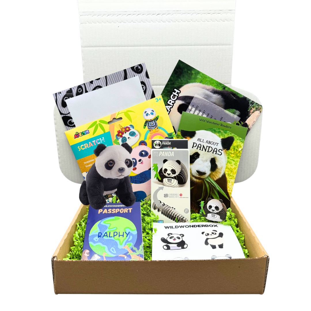 Panda Box – Wild Wonder Box